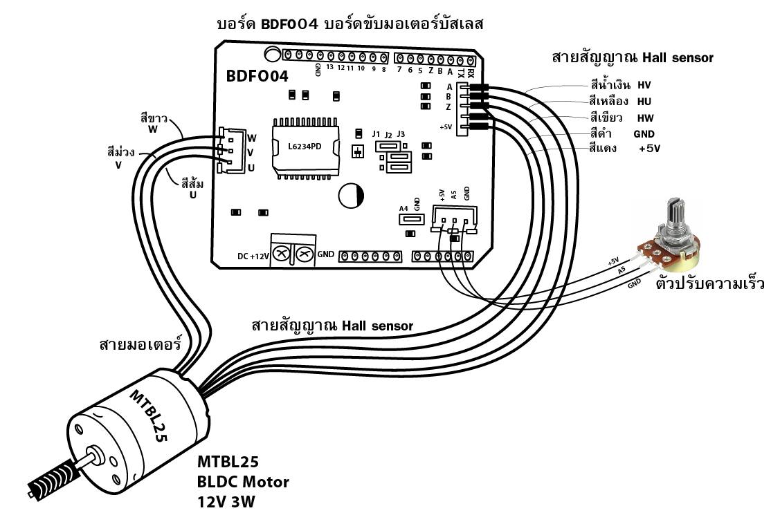 MTBL25 มอเตอร์บัสเลส BLDC Motor DC12V/3W-10000RPM-8Wire-BLDC2430 – เอส ...